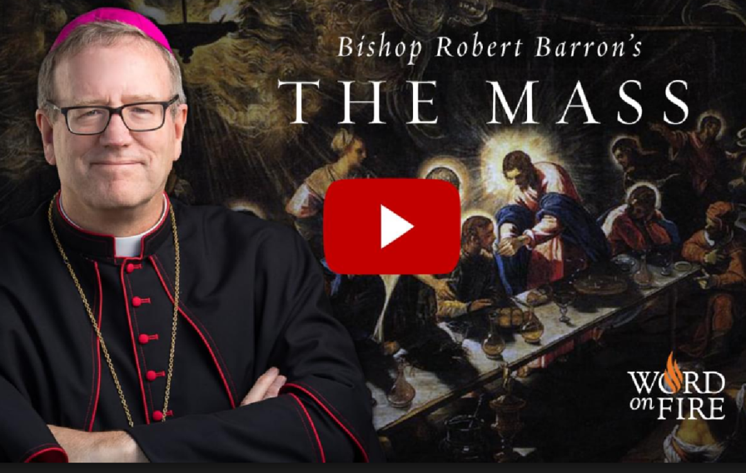 The Mass from Bishop Robert Barron | Annunciation Catholic Church The Mass from Bishop Robert Barron | Annunciation Catholic Church