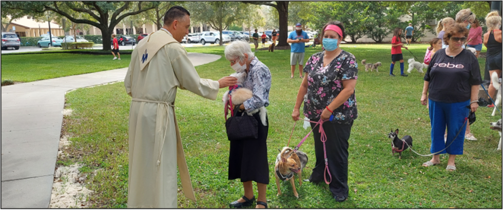 Blessing of the Animals – October 4th | Annunciation Catholic Church